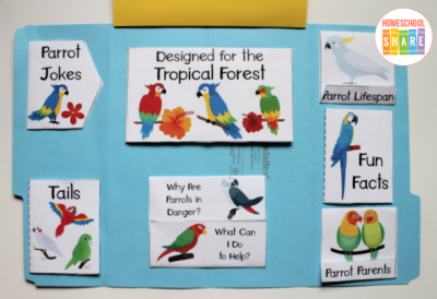 Parrots Lapbook - Homeschool Share