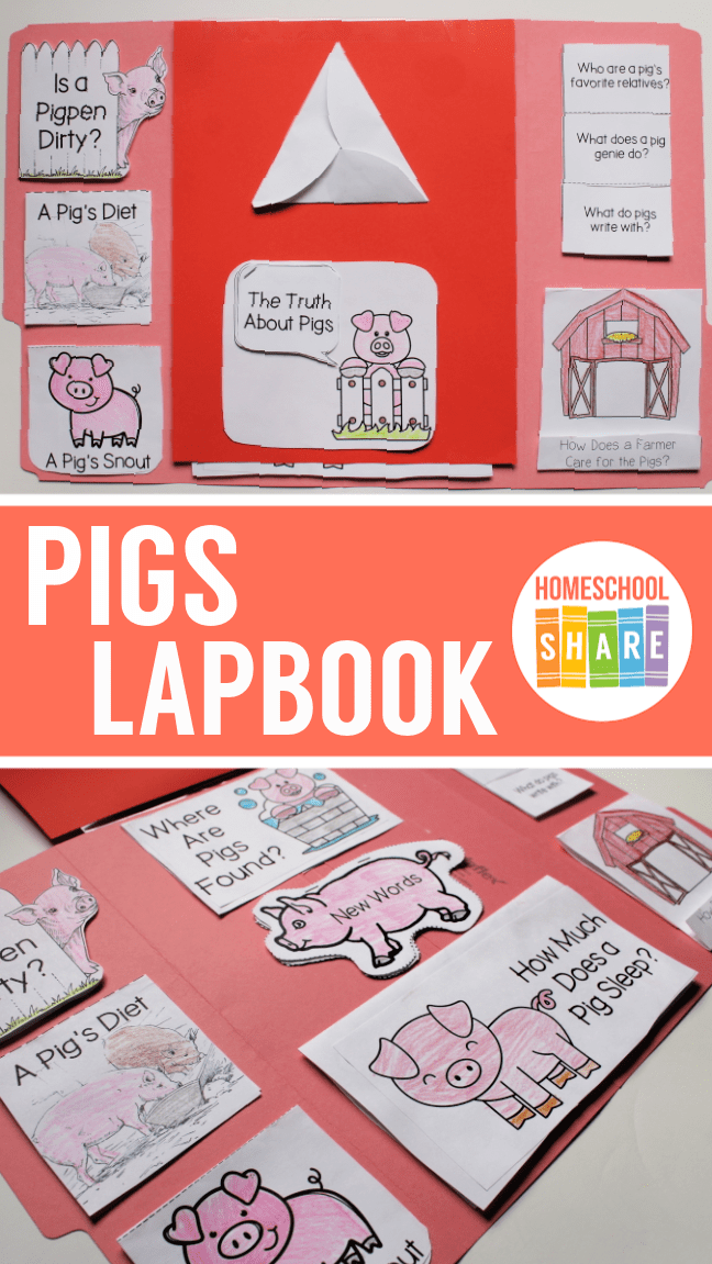Pigs Lapbook - Homeschool Share