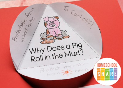 Pigs Lapbook - Homeschool Share