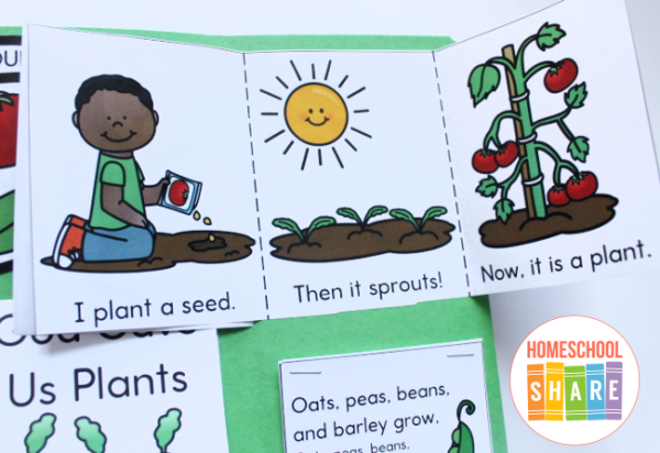 Growing Vegetable Soup Activities & Printables - Homeschool Share