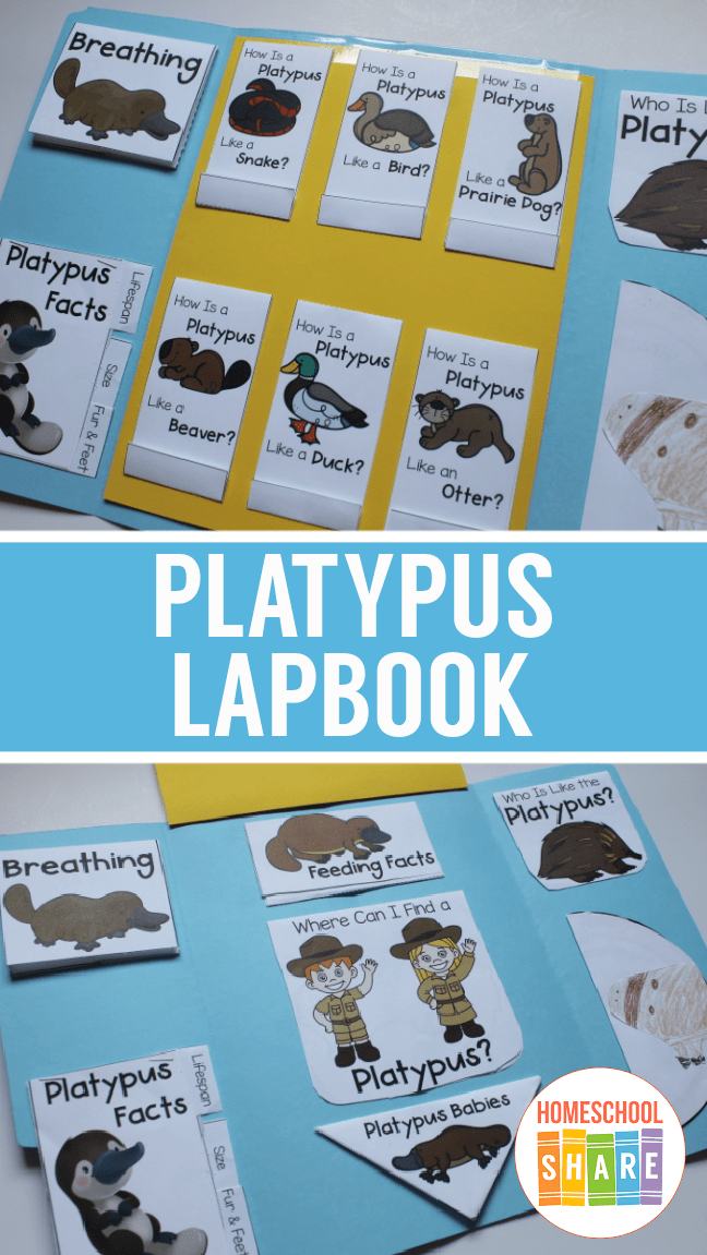 Platypus Lapbook - Homeschool Share