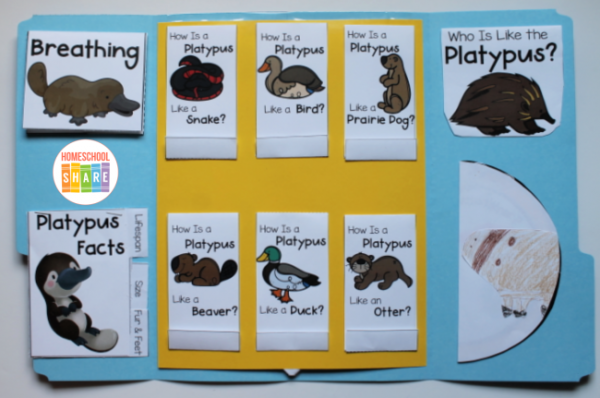 Platypus Lapbook - Homeschool Share