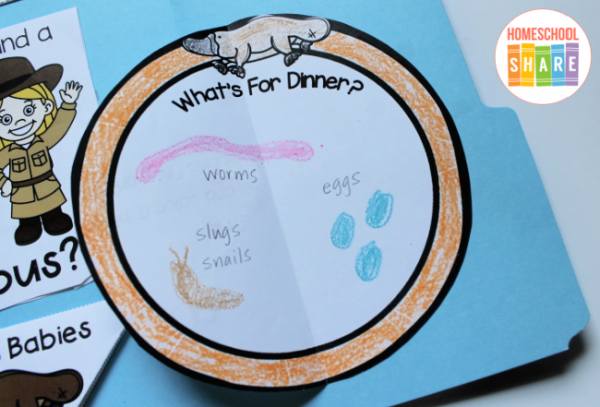 Platypus Lapbook - Homeschool Share