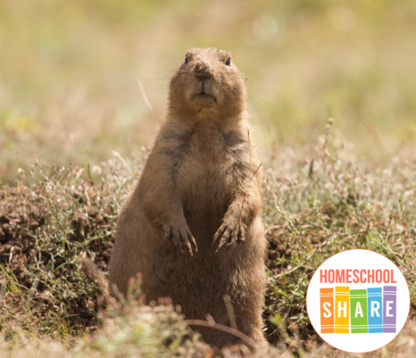 Free Prairie Dogs Lapbook - Homeschool Share