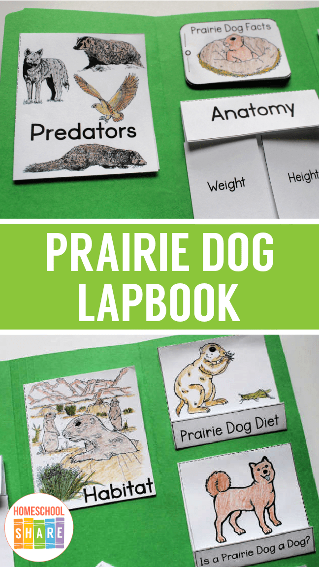 Free Prairie Dogs Lapbook - Homeschool Share