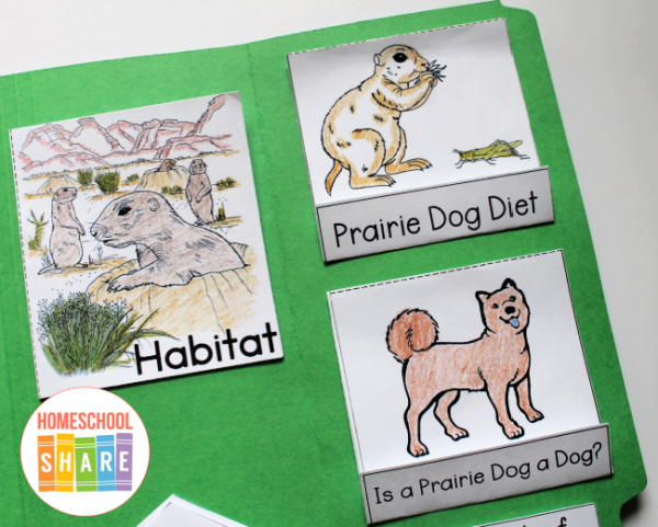 Free Prairie Dogs Lapbook - Homeschool Share