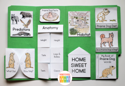 Free Prairie Dogs Lapbook - Homeschool Share