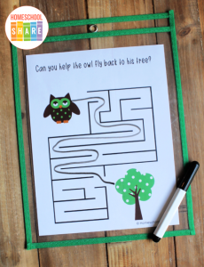Owl Printables - Homeschool Share