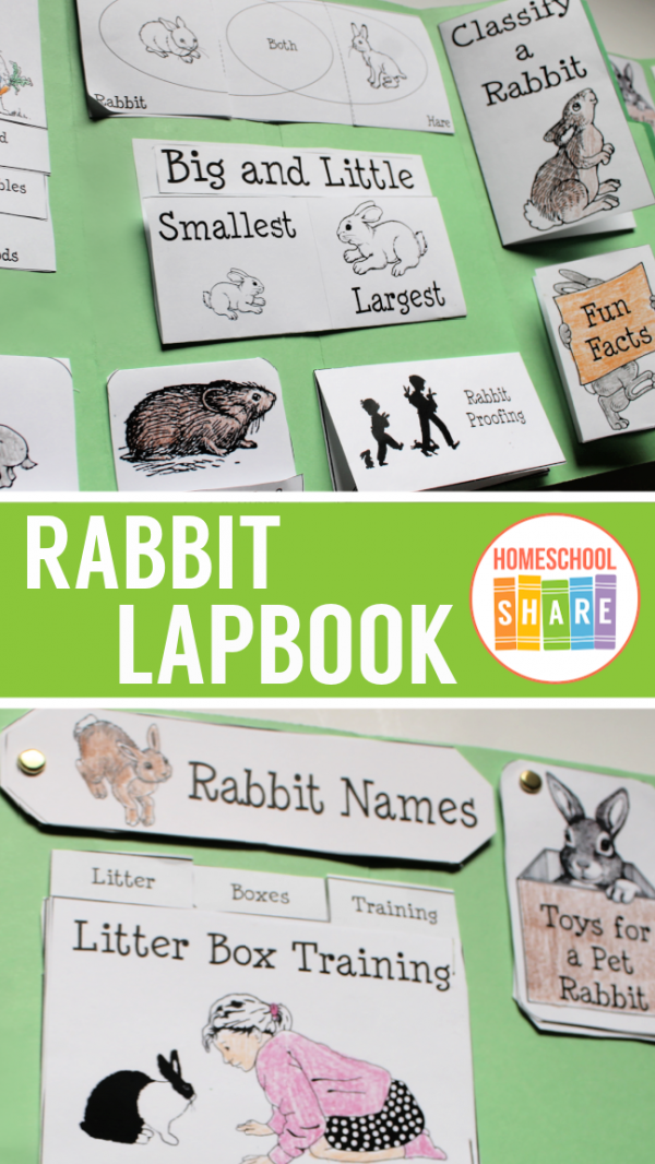 Rabbit Lapbook - Homeschool Share