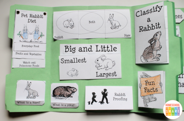 Rabbit Lapbook - Homeschool Share