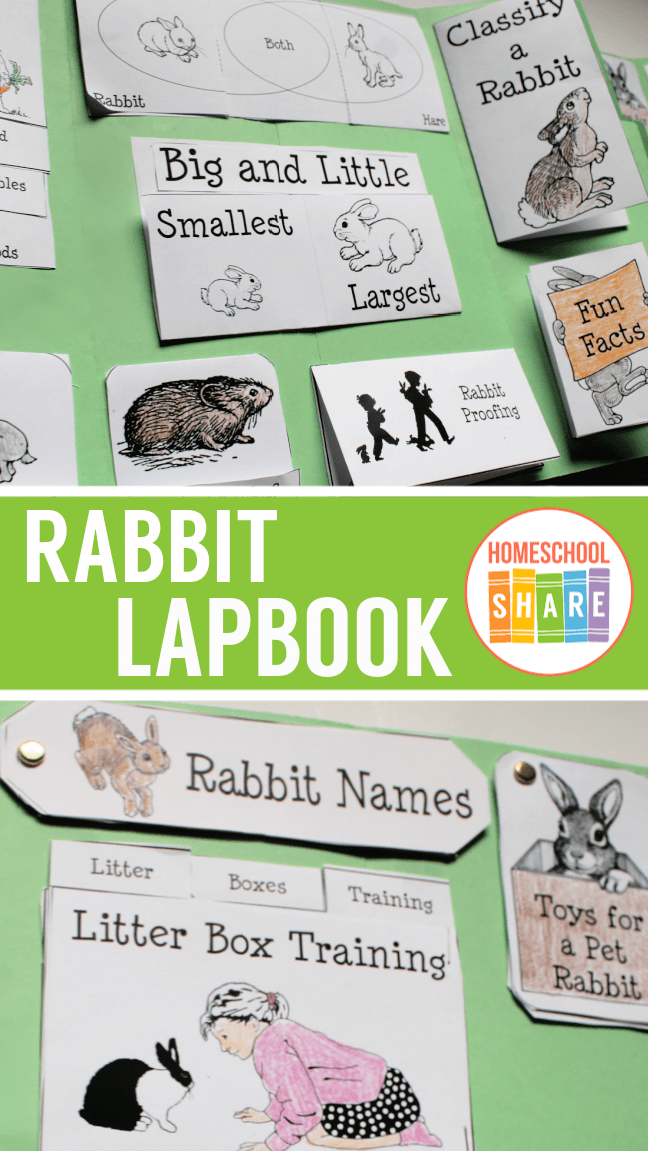 Rabbit Lapbook - Homeschool Share