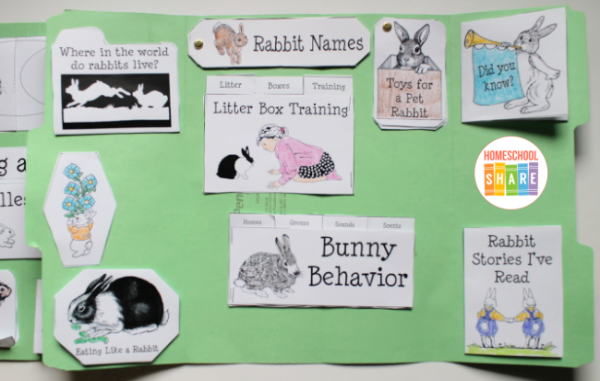 Rabbit Lapbook - Homeschool Share