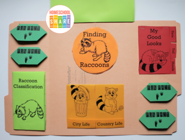 Raccoon Lapbook - Homeschool Share