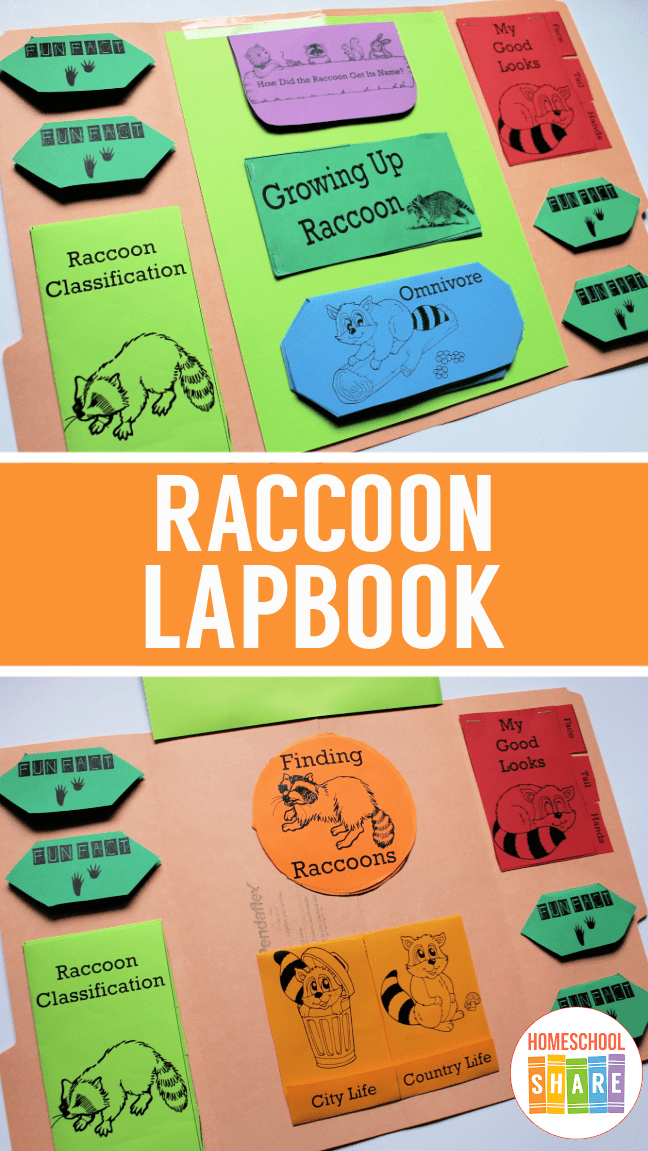 Raccoon Lapbook - Homeschool Share