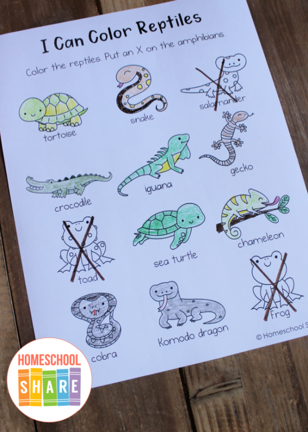 Reptile Printables for Preschool - Homeschool Share