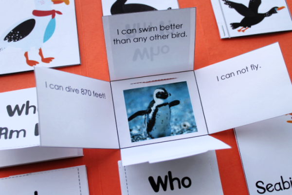 Seabirds Lapbook - Homeschool Share