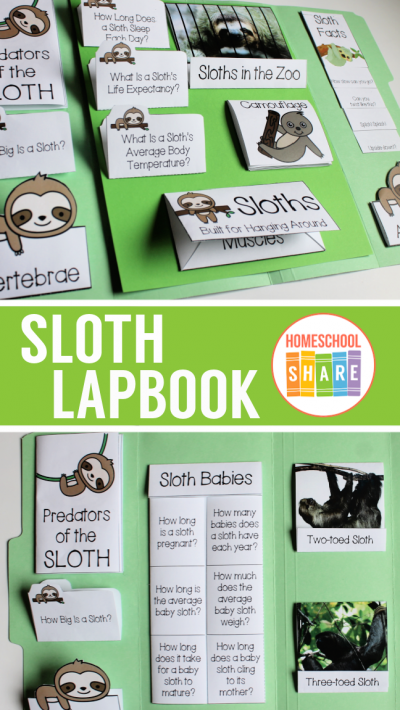Sloth Lapbook - Homeschool Share