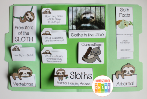 Sloth Lapbook - Homeschool Share