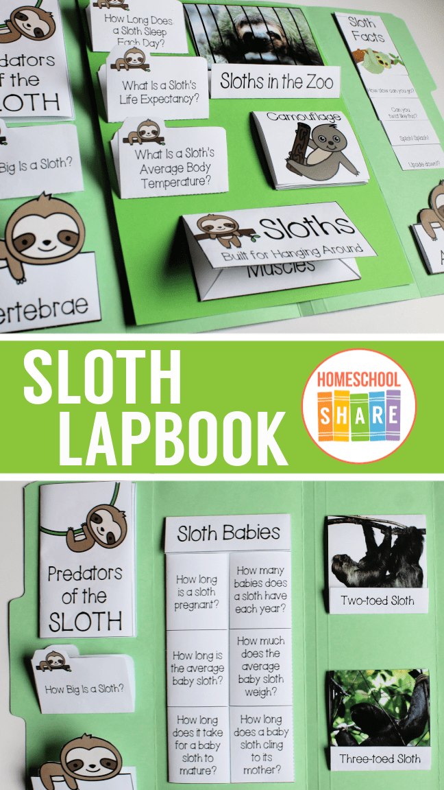 Sloth Lapbook - Homeschool Share