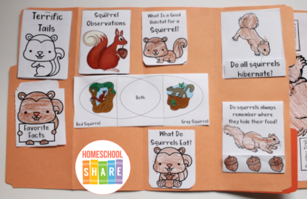 Squirrel Lapbook - Homeschool Share