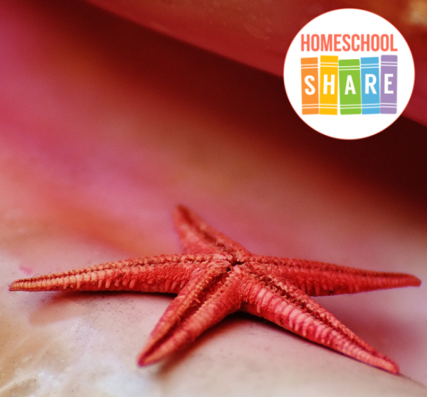 Free Sea Stars Lapbook - Homeschool Share