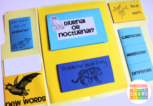 Free Stellaluna Activities & Lapbook - Homeschool Share