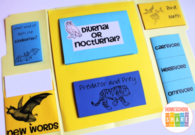 Free Stellaluna Activities & Lapbook - Homeschool Share