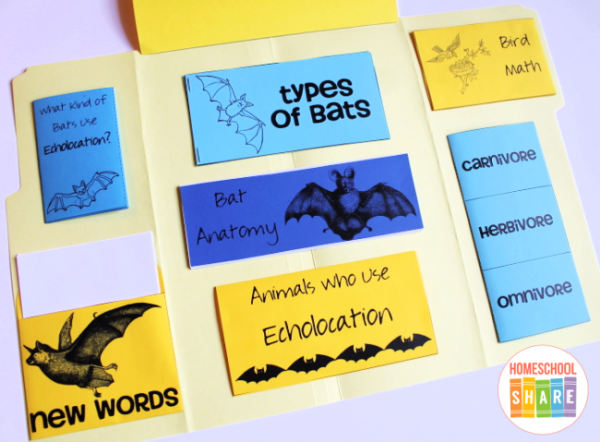 Bonus Lapbook Templates - Homeschool Share