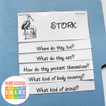 Storks Lapbook - Homeschool Share