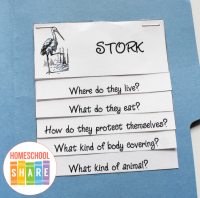 Storks Lapbook - Homeschool Share