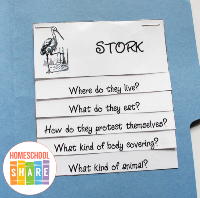 Storks Lapbook - Homeschool Share