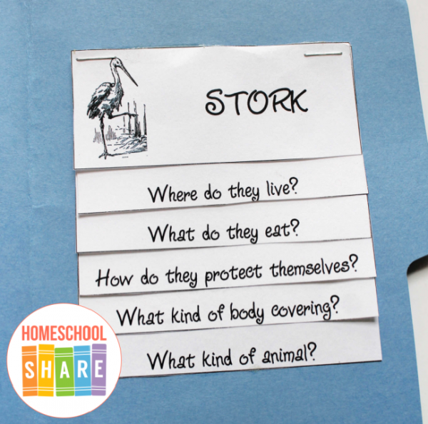 Storks Lapbook - Homeschool Share