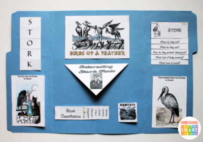 Storks Lapbook - Homeschool Share