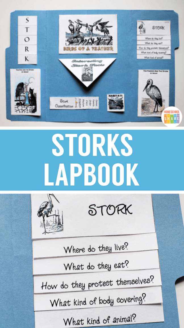 Storks Lapbook - Homeschool Share