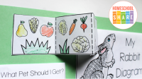 The Little Rabbit Lapbook - Homeschool Share