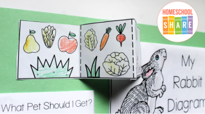 The Little Rabbit Lapbook - Homeschool Share