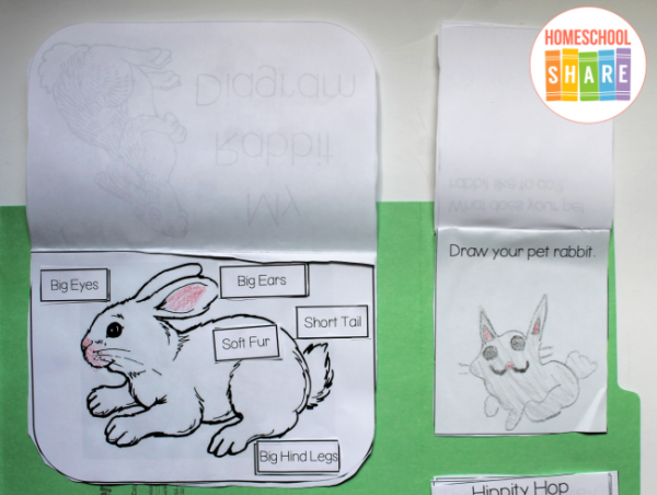 The Little Rabbit Lapbook - Homeschool Share