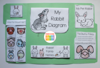 Animal Lapbooks - Homeschool Share