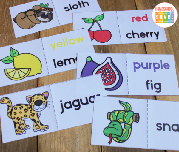 The Parrot Tico Tango Unit Study - Homeschool Share