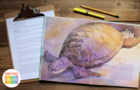 Turtle Bay Unit Study - Homeschool Share