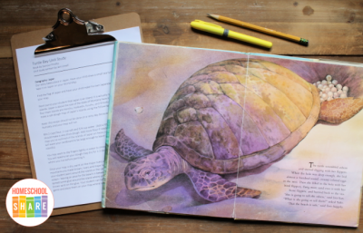 Turtle Bay Unit Study - Homeschool Share