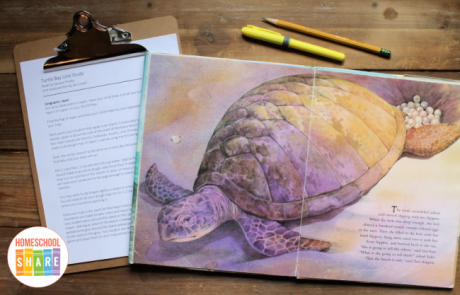 Turtle Bay Unit Study - Homeschool Share