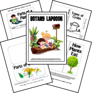 Botany Lapbook - Homeschool Share