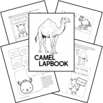 Camels Lapbook - Homeschool Share