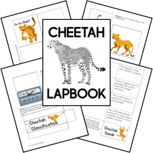 Animal Classification Lapbook - Homeschool Share