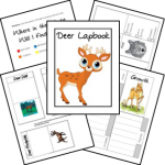 Deer Lapbook - Homeschool Share