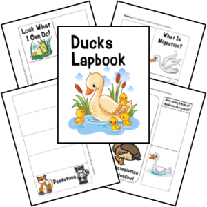 Free Chickens Lapbook - Homeschool Share