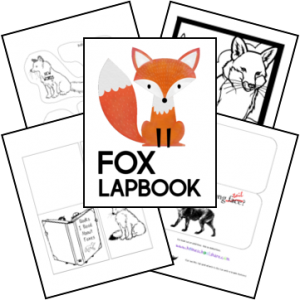 Polar Bear Lapbook - Homeschool Share