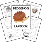 Hedgehogs Lapbook – Homeschool Share