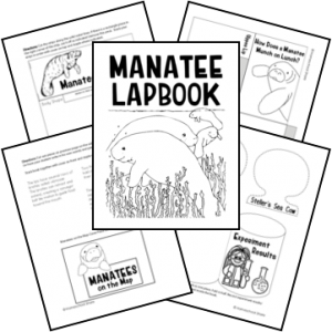 Whales Lapbook - Homeschool Share